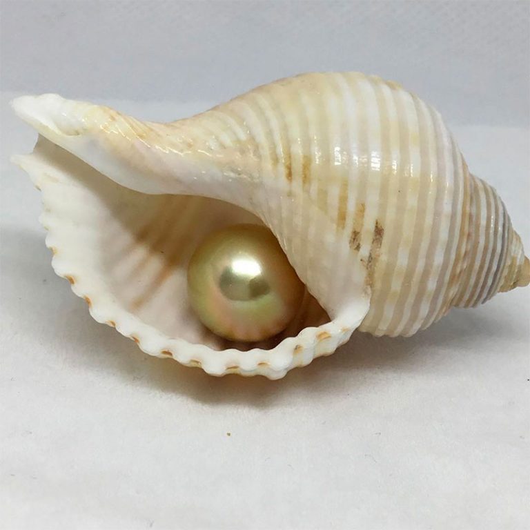 What Makes Golden South Sea Pearls so Valuable? | Thesouthseapearl